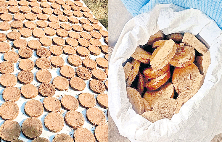 గోమయం.. దివ్యమైన హోమం | Agnihotra pidakalu is made by mixing herbs with ...