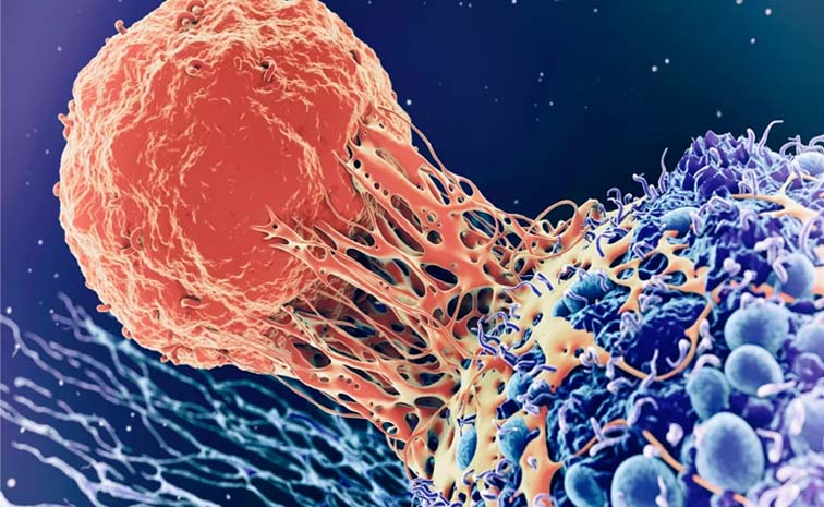 చిన్న పిల్లలను విడువని కేన్సర్‌ భూతం..! | Most Of Children With Cancer ...