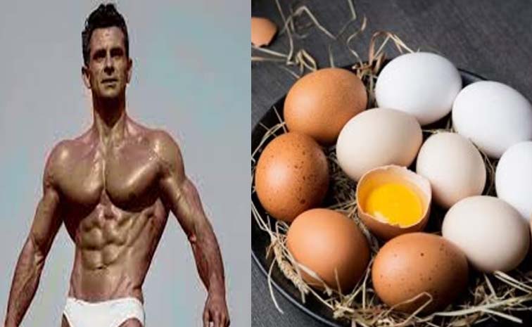 బాడీ బిల్డర్స్‌ 900 ఎగ్స్‌ డైట్‌..! ఆరోగ్యానికి మంచిదేనా? | Content ...