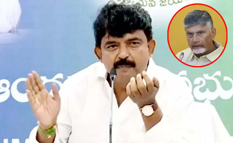 ‘చంద్రబాబుకు లోకేష్‌ వెన్నుపోటు.. పార్టీని, సీఎం కుర్చీని లాక్కోవడం ఖాయం’ | Perni Nani Fires On ...