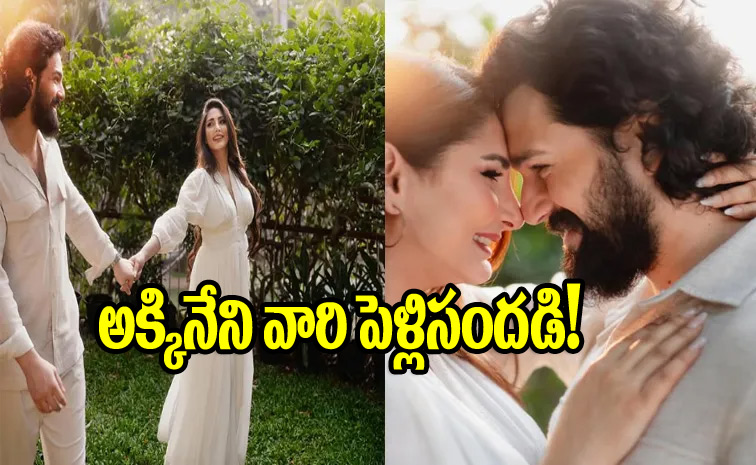 అక్కినేని వారి ఇంట పెళ్లి సందడి.. అఖిల్‌- జైనాబ్‌ పెళ్లి తేదీ ఫిక్స్ ...