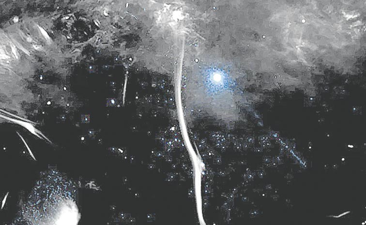 కాస్మిక్‌ బోన్‌కు పగుళ్లు | Astronomers found the cause of a fracture ...