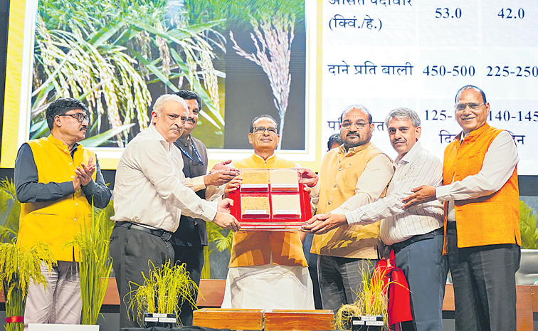 తొలి ‘జన్యుసవరణ’ వరి! | India Achieves Global First with Genome-Edited ...