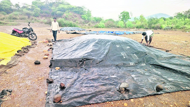 మళ్లీ తడిసిన ధాన్యం | - | Sakshi