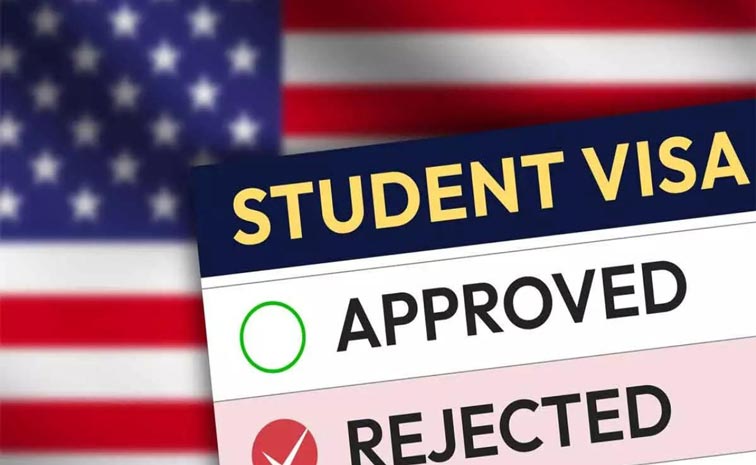చోరీ చేసినా వీసా రద్దు: అమెరికా | US Embassy in India issues warning on ...