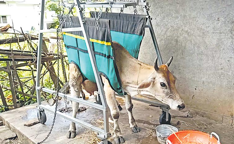 పోర్టబుల్‌ కౌ లిఫ్ట్‌ | sagubadi: Designing a Portable System to Lift a ...