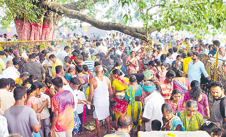 ప్రతి మంగళవారం జాతరే! | Vellulla Yellamma Temple In Metpally | Sakshi