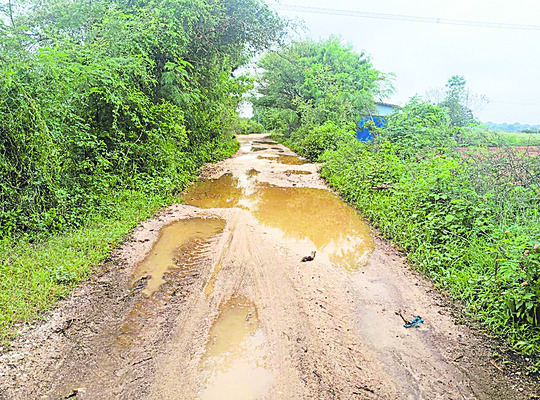 ‘లింక్‌ కల’వదే! | - | Sakshi