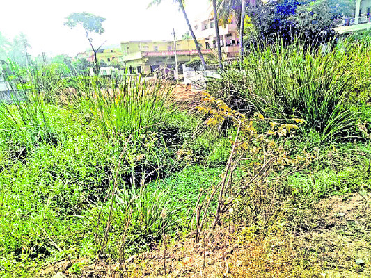భూ కబ్జాల పేట | - | Sakshi