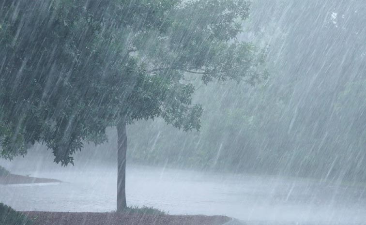 ఉమ్మడి కర్నూలు జిల్లాలో భారీ వర్షాలు | Heavy rains in Kurnool district ...