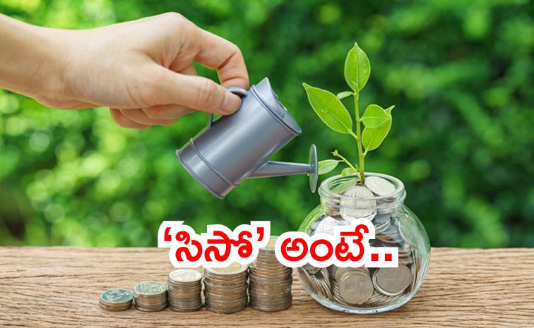 సంపద సృష్టికి జీవిత బీమా అండ.. | Systematic In Systematic Out wealth ...