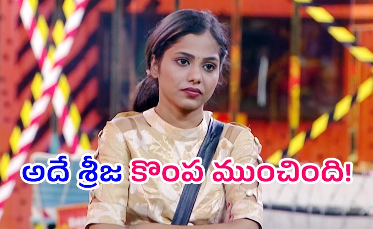 తన గోతిలో తనే పడ్డ శ్రీజ.. ఆడపులి రెమ్యునరేషన్‌ ఎంతంటే? | Bigg Boss 9 Telugu Srija Dammu ...