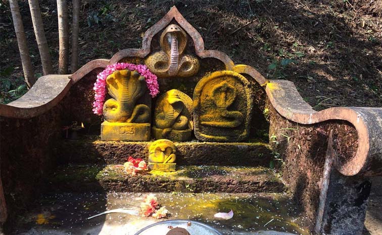 సర్వదోషాల నివారణకు నాగుల చవితి పూజ | Nagula Chavithi 2025: Significance ...