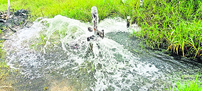 పొంగుతున్న పాతాళ గంగ | - | Sakshi