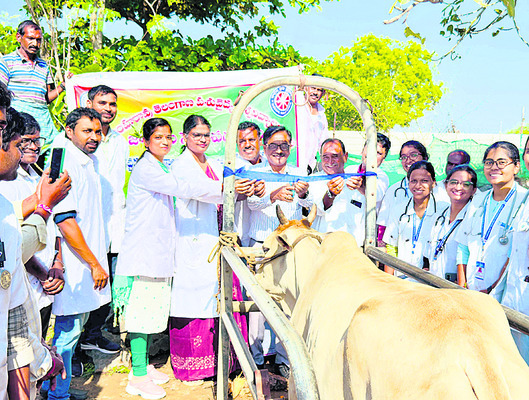 పశువైద్య శిబిరాలతో రైతులకు మేలు | - | Sakshi