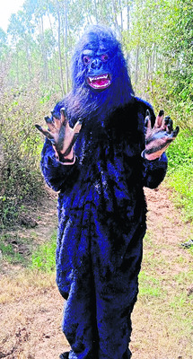 చింపాంజీ వస్తోంది.. పారిపోండి ! | - | Sakshi