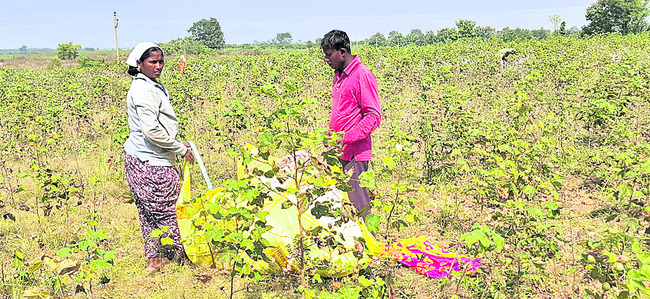 వలస వస్తున్న కూలీలు | - | Sakshi