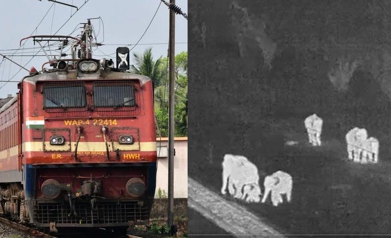 ఏనుగుల మందను ఢీ కొట్టి.. అస్సాంలో రైలు ప్రమాదం | Assam Train Hit ...