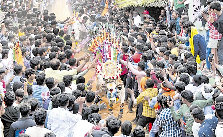 సంక్రాంతి వేళ సంప్రదాయ సంబరాలు | Sankranti celebrations in Andhra ...