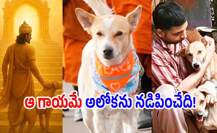 ధర్మరాజు లేకుండానే.. అలుపెరుగని ప్రయాణం | With Peace Dog Aloka ...