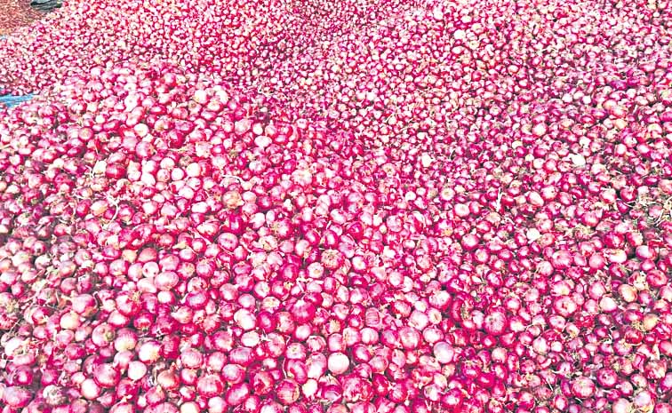 ధర లేని 'ఉల్లి'.. రైతు 'తల్లడిల్లి'! | The hardships of onion farmers ...
