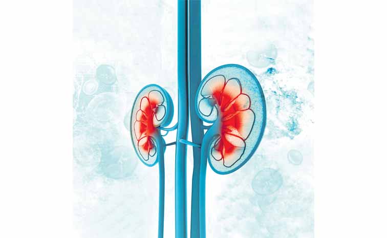 మూత్ర'గండం'! | Kidney problems in the state are more than double the ...