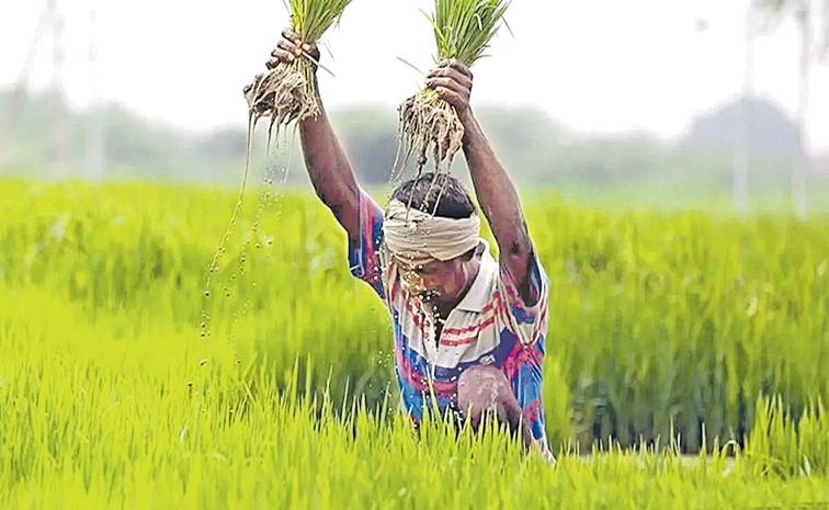ఆ సన్నాలే కావాలి! | Bonus limited to 7 types of rice varieties | Sakshi
