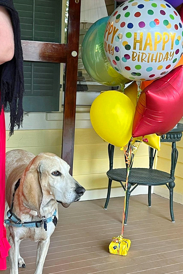 కమలా హారిస్‌, ‘లవ్లీ స్టెప్‌ డాటర్‌’ ఎల్లా ఎమ్‌హాఫ్ గురించి తెలుసా ...