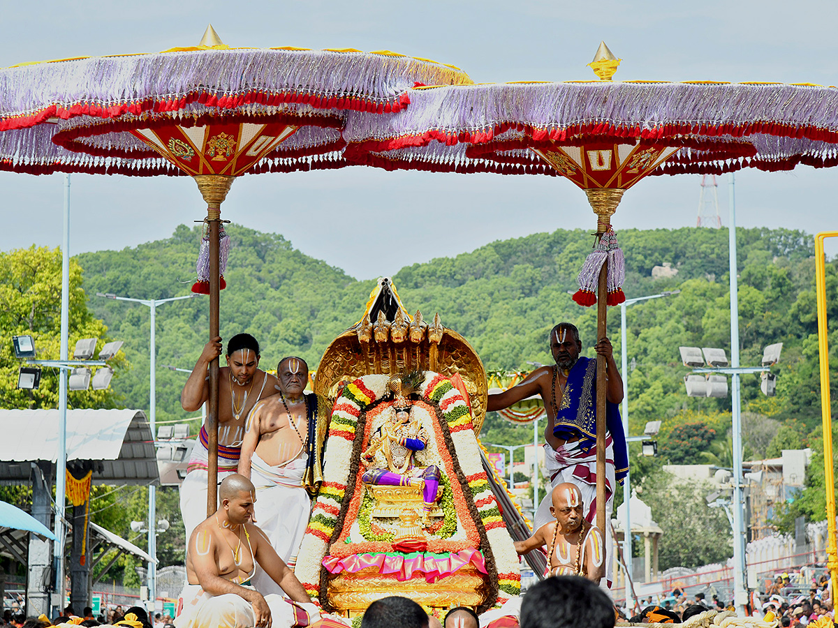 శ్రీవారి సాలకట్ల బ్రహ్మోత్సవాలు .. చిన్నశేష వాహనంపై శ్రీవారు (ఫొటోలు ...