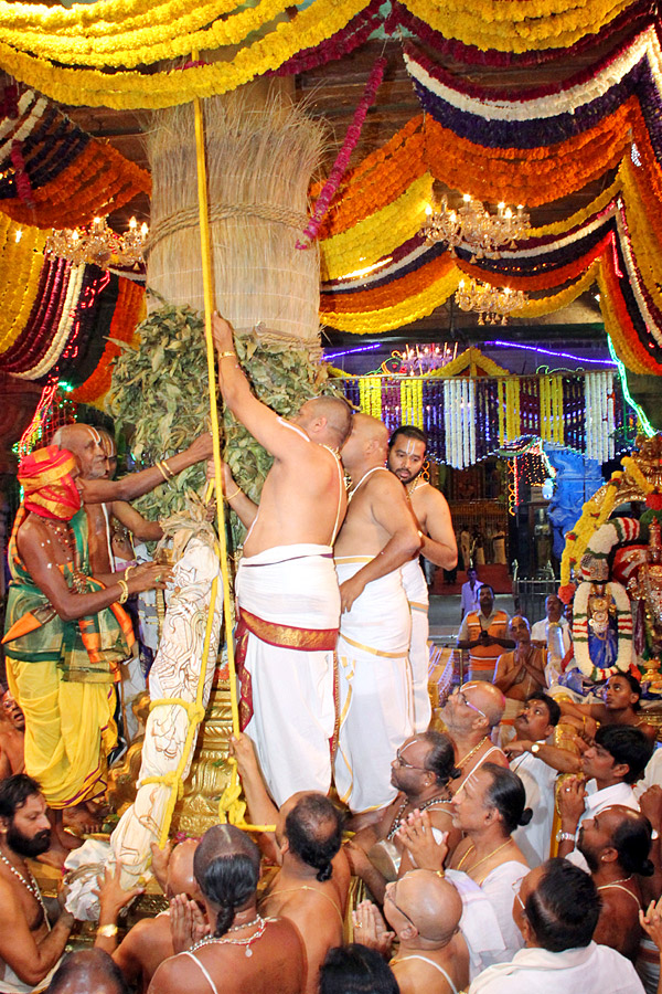 కన్నుల పండువగా శ్రీవేంకటేశ్వరస్వామి సాలకట్ల బ్రహ్మోత్సవాలు (ఫోటోలు ...