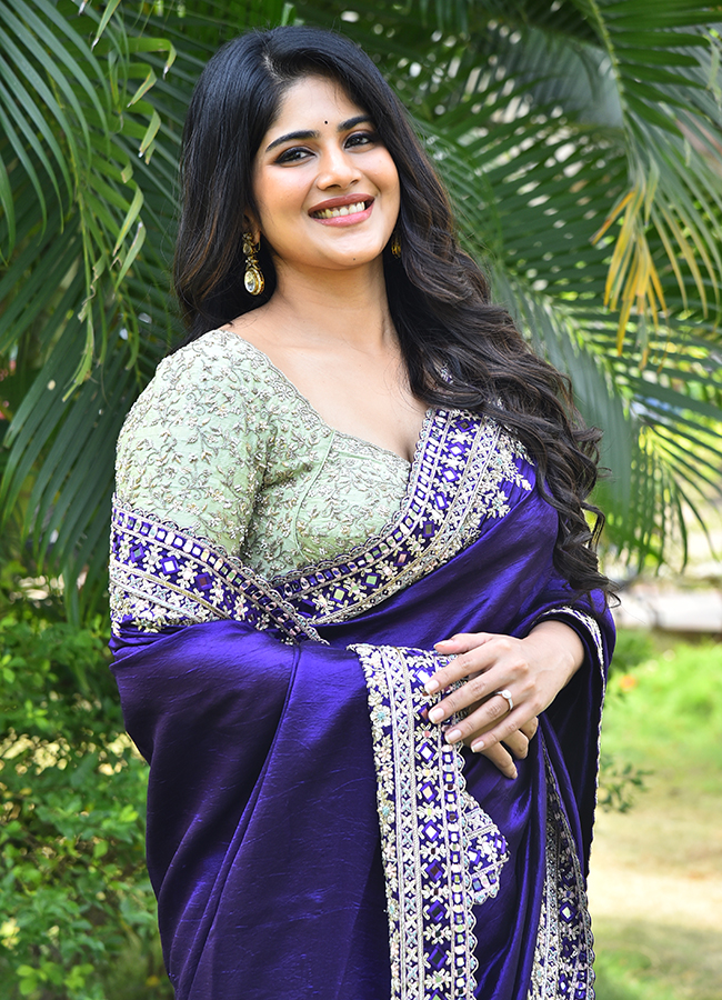 నీలి రంగు చీరలో అదరగొడుతున్న హీరోయిన్ మేఘ ఆకాష్ (ఫొటోలు) | Actress ...