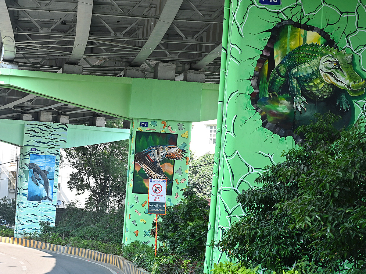 జూబ్లీహిల్స్‌ రోడ్‌నెం. 45లో బెంగాల్‌ టైగర్ చూసారా..? (ఫొటోలు ...