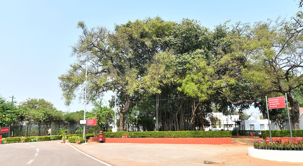 రాష్ట్రపతి ముర్ము శీతాకాల విడిది.. అబ్బురపరుస్తున్న బొల్లారం రాష్ట్రపతి ...