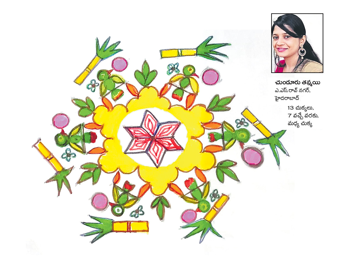 భోగినాడు పెట్టే ముత్యాల ముగ్గులు..మనసుదోచే రంగవల్లులివే..! (ఫోటోలు ...