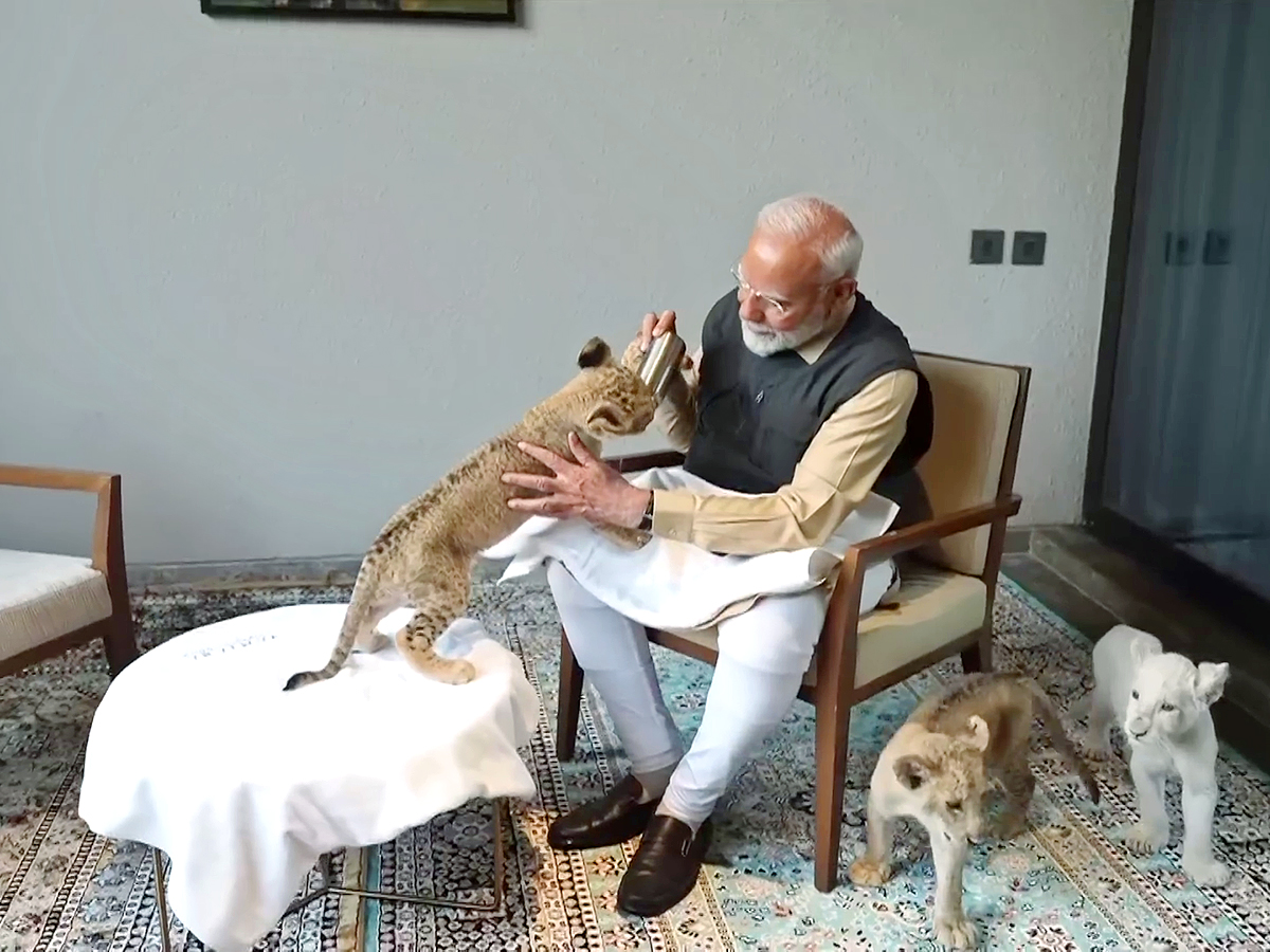 అంబానీ వంతారా : పులులు, సింహాలతో నరేంద్ర మోదీ (ఫోటోలు) | Narendra Modi ...