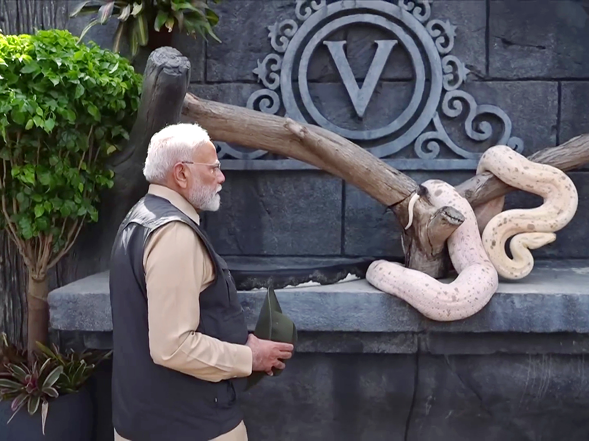 అంబానీ వంతారా : పులులు, సింహాలతో నరేంద్ర మోదీ (ఫోటోలు) | Narendra Modi ...