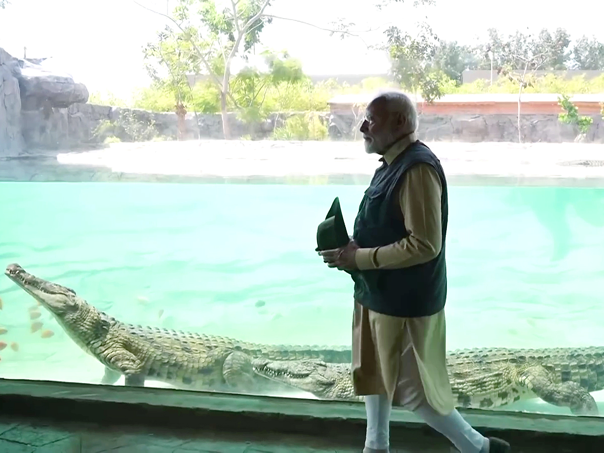 అంబానీ వంతారా : పులులు, సింహాలతో నరేంద్ర మోదీ (ఫోటోలు) | Narendra Modi ...