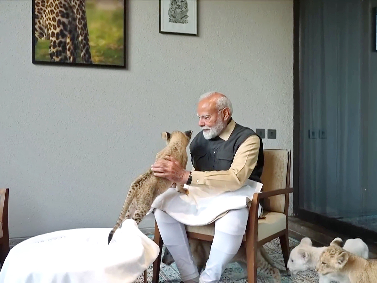 అంబానీ వంతారా : పులులు, సింహాలతో నరేంద్ర మోదీ (ఫోటోలు) | Narendra Modi ...