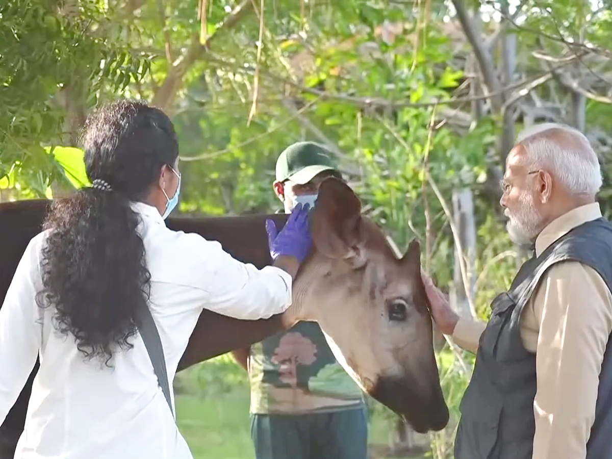 అంబానీ వంతారా : పులులు, సింహాలతో నరేంద్ర మోదీ (ఫోటోలు) | Narendra Modi ...