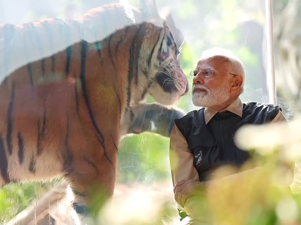 అంబానీ వంతారా : పులులు, సింహాలతో నరేంద్ర మోదీ (ఫోటోలు) | Narendra Modi ...