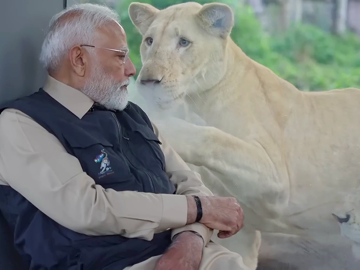 అంబానీ వంతారా : పులులు, సింహాలతో నరేంద్ర మోదీ (ఫోటోలు) | Narendra Modi ...