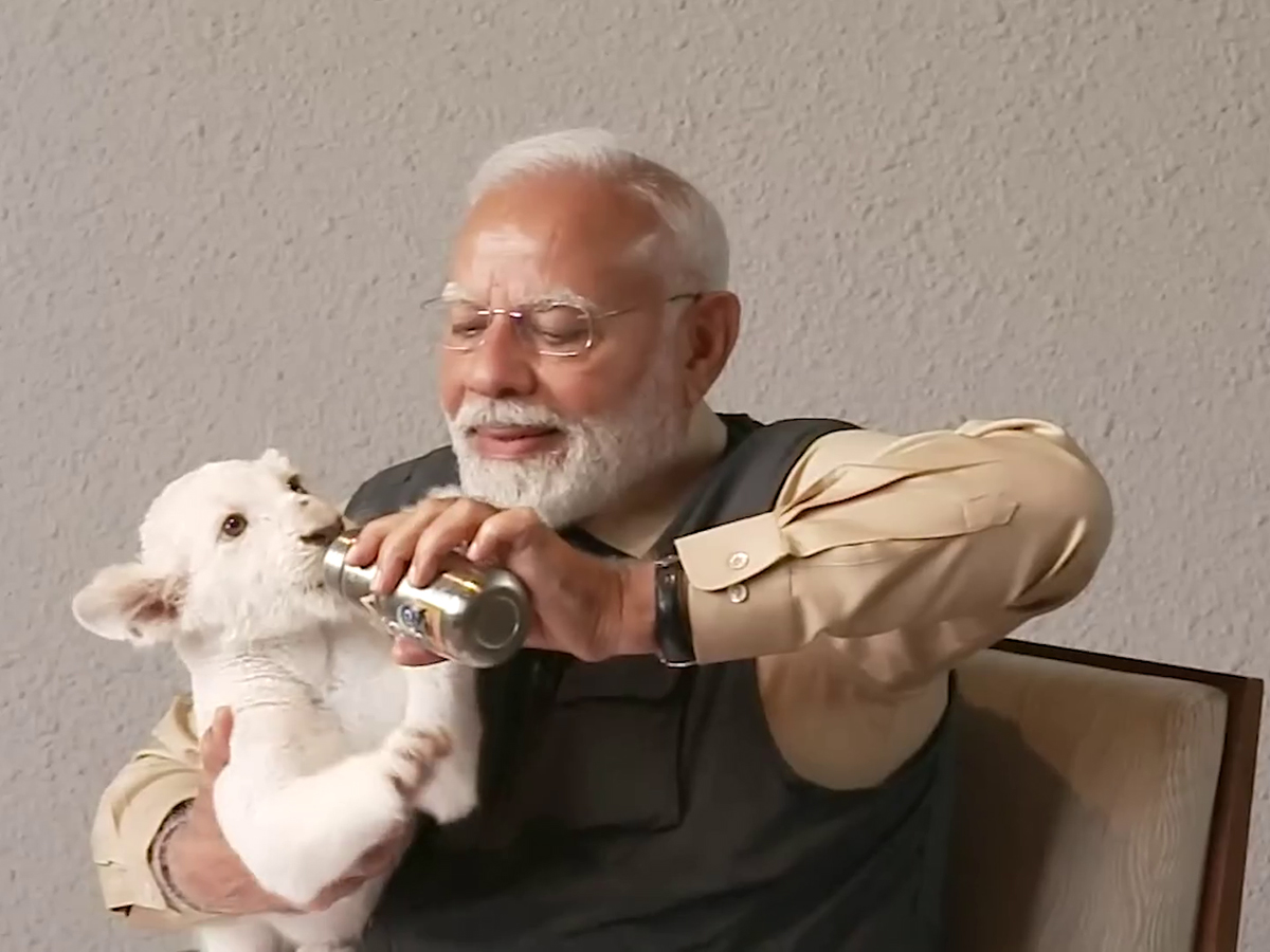 అంబానీ వంతారా : పులులు, సింహాలతో నరేంద్ర మోదీ (ఫోటోలు) | Narendra Modi ...