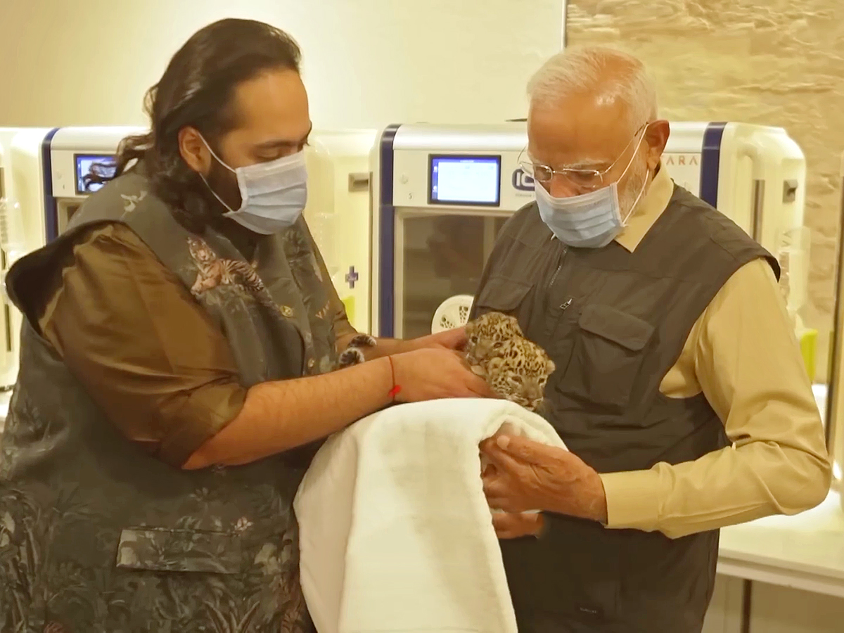 అంబానీ వంతారా : పులులు, సింహాలతో నరేంద్ర మోదీ (ఫోటోలు) | Narendra Modi ...