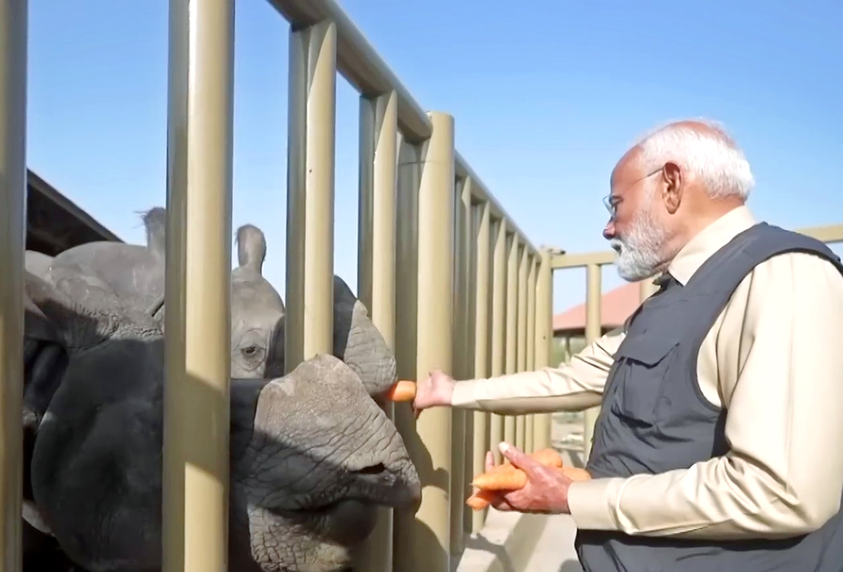 అంబానీ వంతారా : పులులు, సింహాలతో నరేంద్ర మోదీ (ఫోటోలు) | Narendra Modi ...