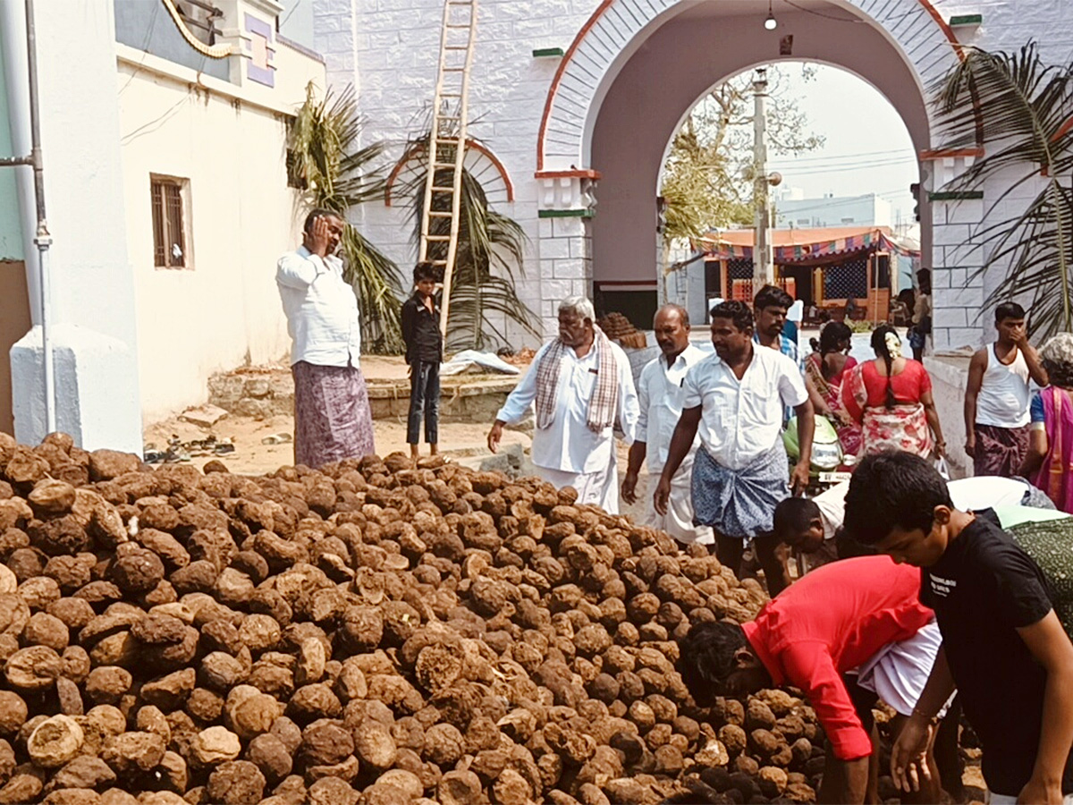 నంద్యాల : ప్రేమ కోసం పిడకల యుద్ధం..ప్రేమదే విజయం (ఫొటోలు) | Kurnool ...