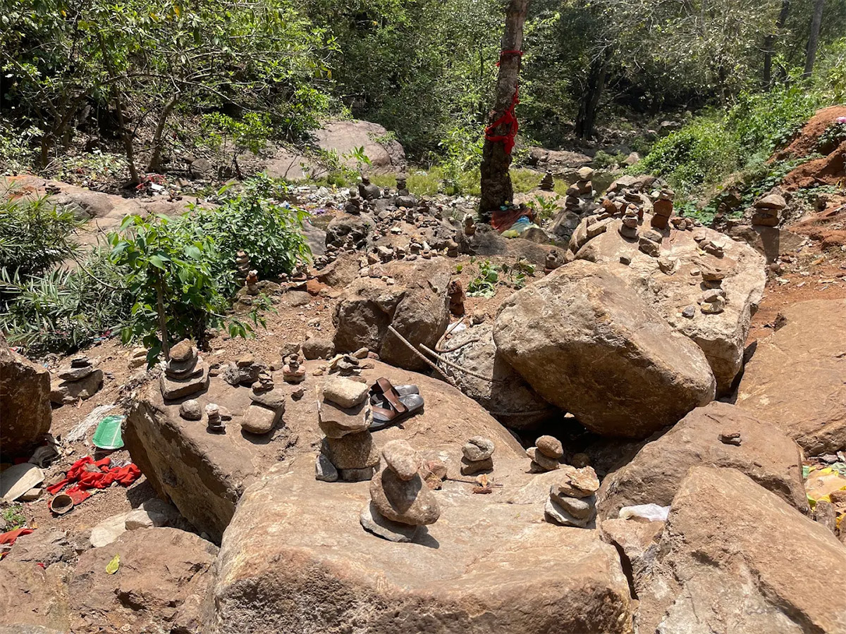 ఏపీలోని ఈ గుడి చాలా స్పెషల్..దట్టమైన అటవీ ప్రాంతంలో వెలసిన అమ్మవారు ...