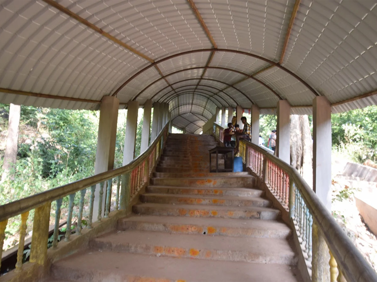 ఏపీలోని ఈ గుడి చాలా స్పెషల్..దట్టమైన అటవీ ప్రాంతంలో వెలసిన అమ్మవారు ...