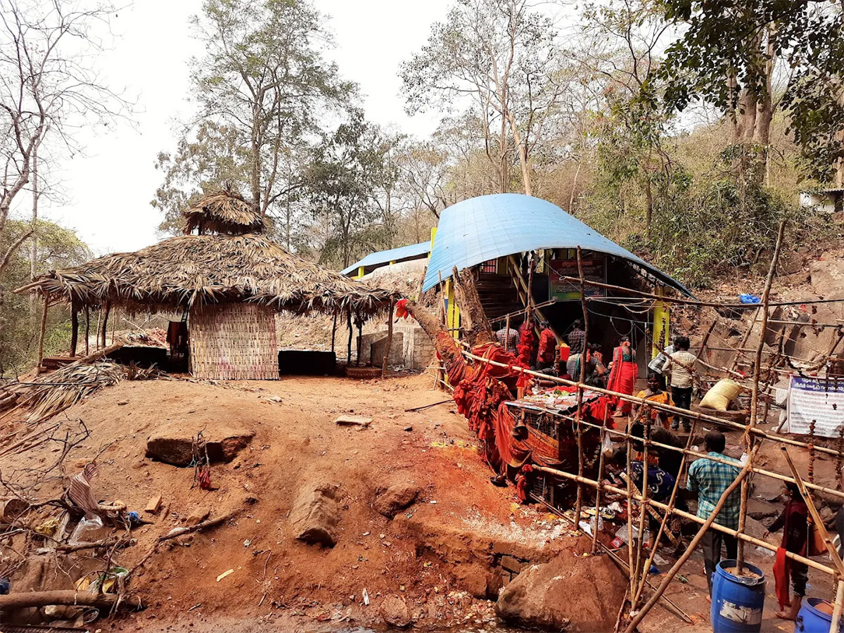 ఏపీలోని ఈ గుడి చాలా స్పెషల్..దట్టమైన అటవీ ప్రాంతంలో వెలసిన అమ్మవారు ...