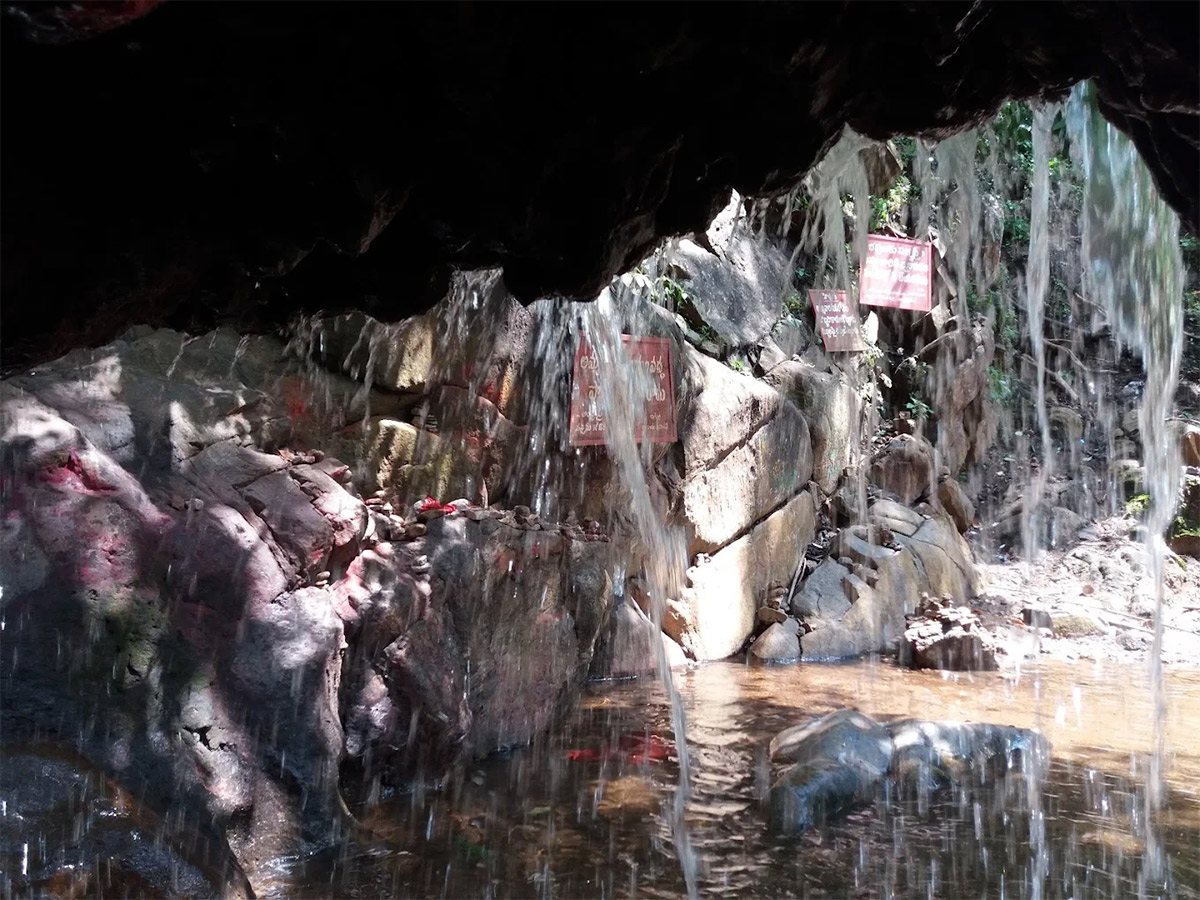 ఏపీలోని ఈ గుడి చాలా స్పెషల్..దట్టమైన అటవీ ప్రాంతంలో వెలసిన అమ్మవారు ...