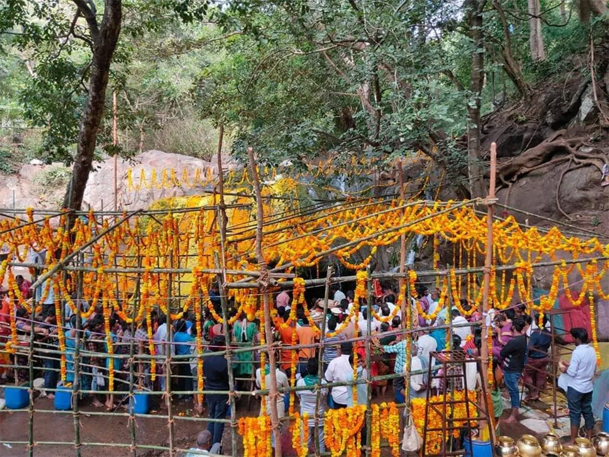 ఏపీలోని ఈ గుడి చాలా స్పెషల్..దట్టమైన అటవీ ప్రాంతంలో వెలసిన అమ్మవారు ...